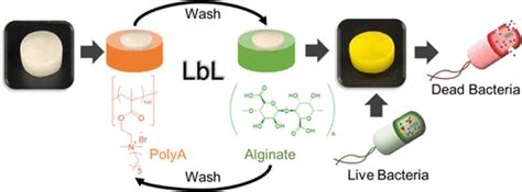 Raising Antimicrobial Awareness