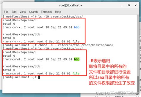 一篇文章学会linux中的权限管理 csdn博客