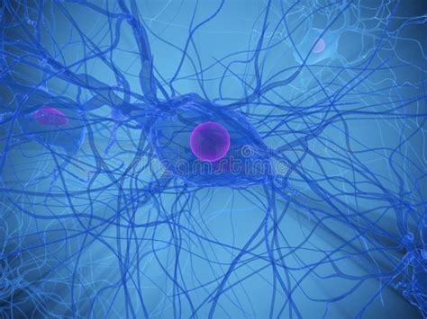 神经高清图片 神经细胞 神经细胞图片免费下载 5128933650 千图网pro