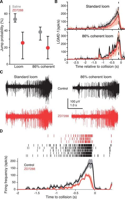 Figures And Data In Biophysics Of Object Segmentation In A Collision