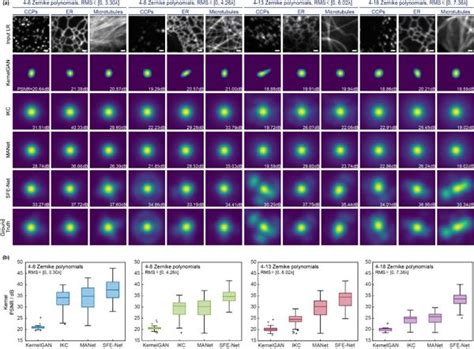 Deep Learning Based Optical Aberration Estimation Enables Offline Digital Adaptive Optics And