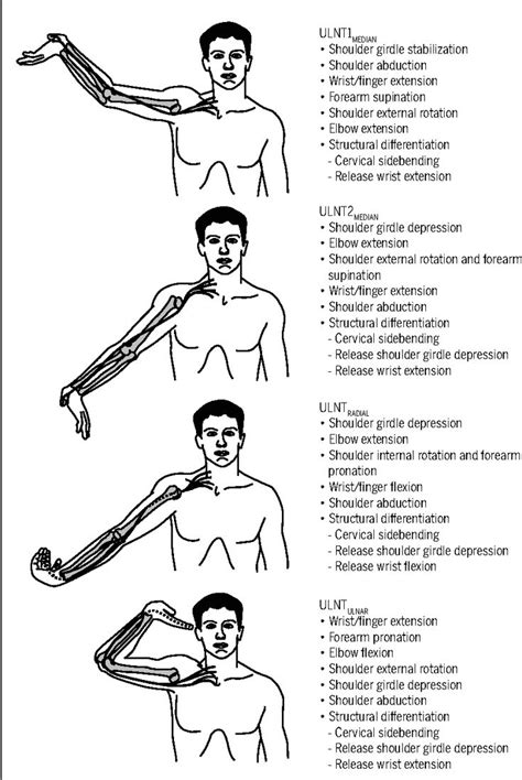 Image Result For Ultt Physical Therapy Assistant Physical Therapy Exercises Physical Therapy