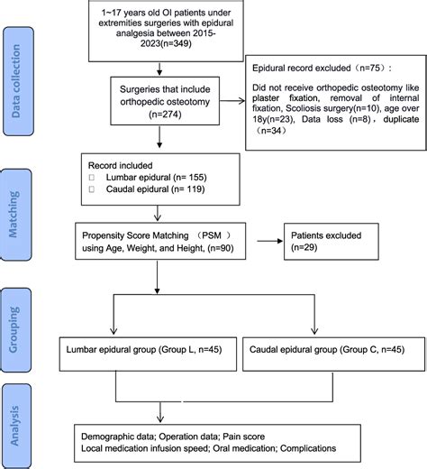 Figure 1 From Lumbar Epidural Versus Caudal Epidural For Postoperative