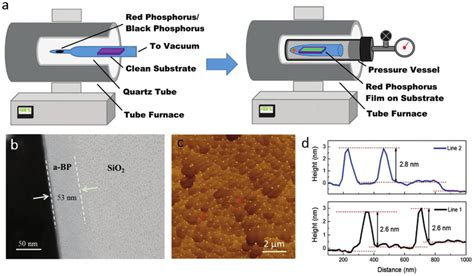 A Schematic For Cvd Growth Of Black Phosphorus 59 Republished With