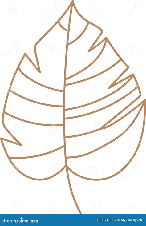 Tropical Leaf Outline Stock Illustration Illustration Of Branch