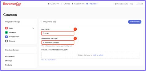 In App Subscriptions Using Revenuecat And Flutterflow
