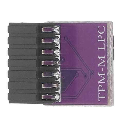 Security Module Lpc Interface Less Interference Remote Card Encryption
