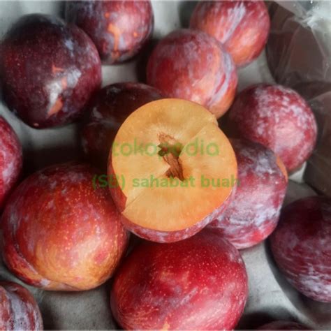 Jual Buah Plum Usa Ruby Plum Manis Shopee Indonesia