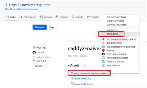 极简一键脚本 自定义端口naiveproxy与caddy v2前置的vless vmess v2ray共存 可开cdn