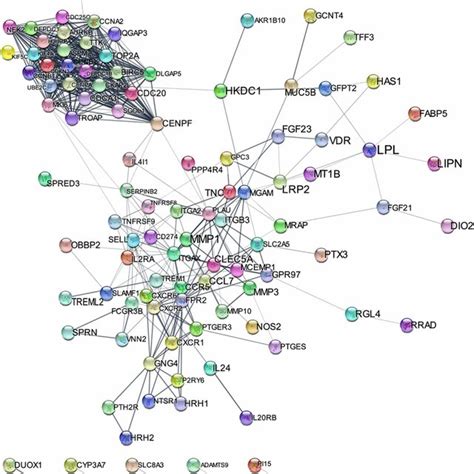 Ppi Network Construction Of Degs Ppi Network Among 14 Differential