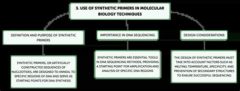 The Function And Importance Of Rna Primers In Dna Replication Algor Cards