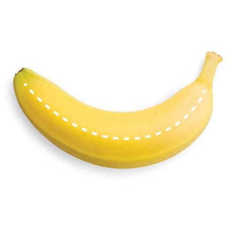 fruit detection object detection dataset and pre trained model by