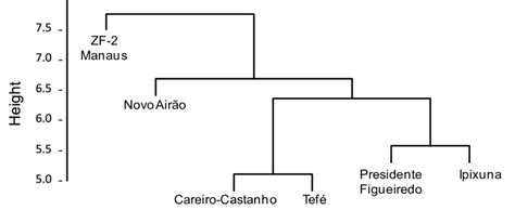 Cluster Dendrogram For Euclidean Distance Analysis To Verify The