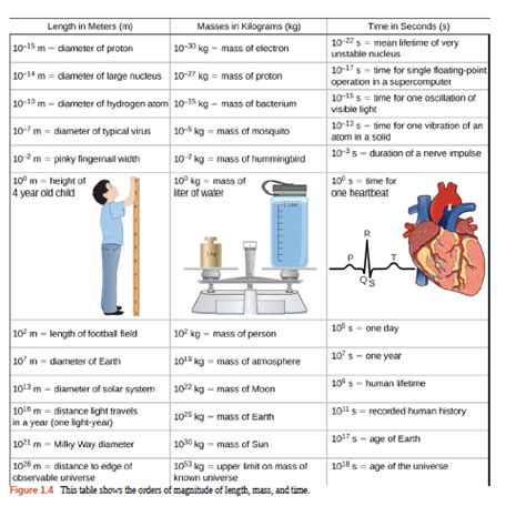 Use The Orders Of Magnitude You Found In The Previous Problem To Answer The Following Questions