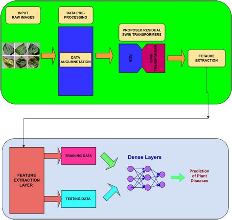 new classification framework for plant diseases download scientific