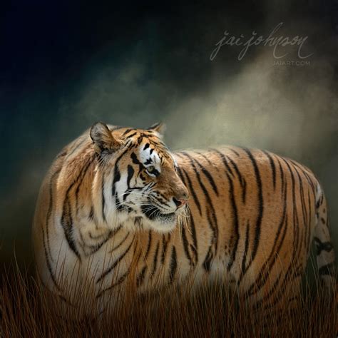 Night Stalker Used The Grass The Daily Texture