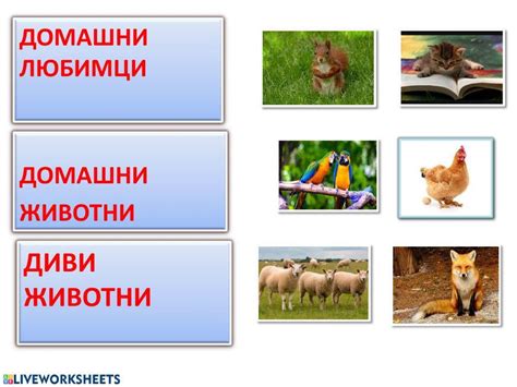 Околен свят 58590 Данка Митева Live Worksheets