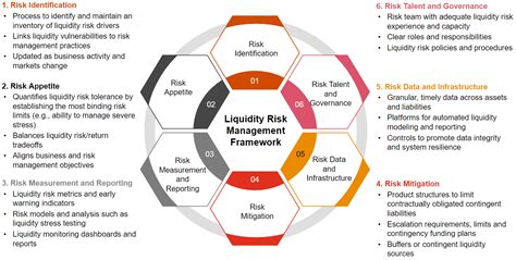 Liquidity Risk Management Global Practice Guide Auditing Liquidity