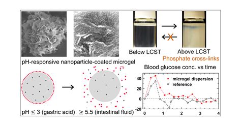 Controlled Release Of Glucose From Orally Delivered Temperature And Ph Responsive
