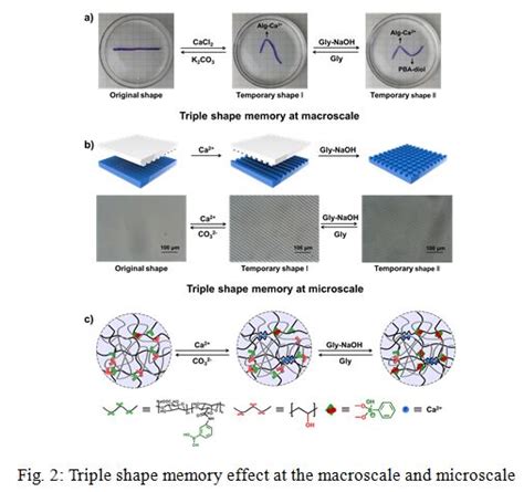 Stretchable Supramolecular Hydrogels With Triple Shape Memory Effect Ningbo Institute Of