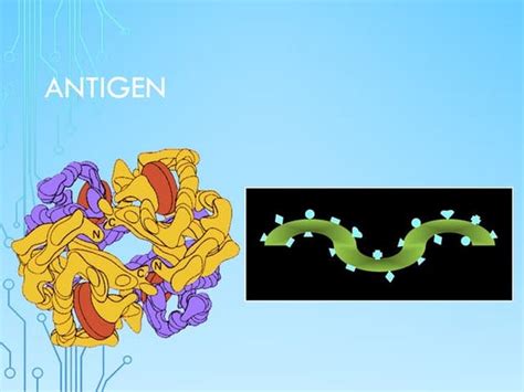 Antigen Ppt Antigen Ppt