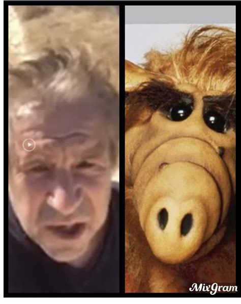 Twins R Dabblersanonymous