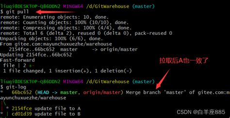 Git远程仓库学习和推送(gitee)gitee远程推送的用户名和密码 Csdn博客 Git远程仓库学习和推送(gitee)gitee远程推送的用户名和密码 Csdn博客