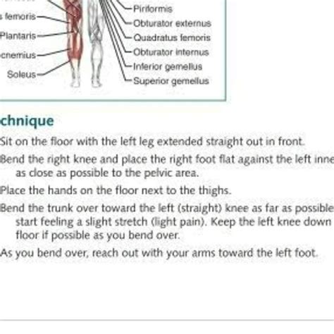 Seated Hip External Rotator And Hip Extensor Stretch By Vincent H