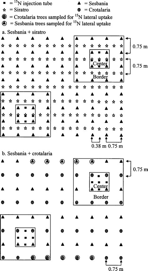 Field Layout Of N Application Subplots In Two Improved Fallow Download Scientific Diagram