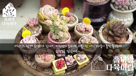 다육이농원 ♡흙이랑다육이랑♡ Youtube