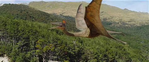 Quetzalcoatlus The Largest Flying Animal Ever Discovered