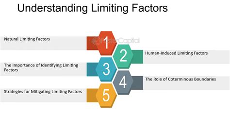 Limiting Factor Ecology