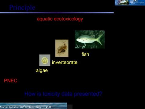 Lecture Toxicity Testing PPT
