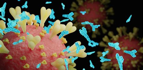 AI ML Methods For Antibody Antigen Docking DrOmics Labs