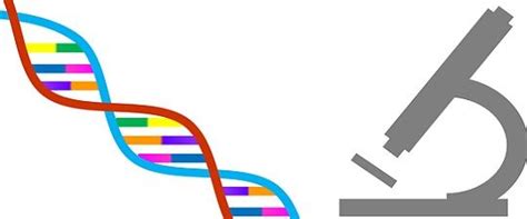 Difference Between Codon And Anticodon With Comparison Chart Bio Differences