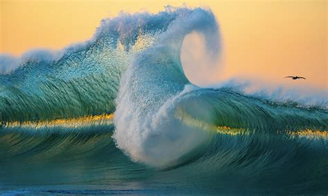 Photo Artist Ocean Wave