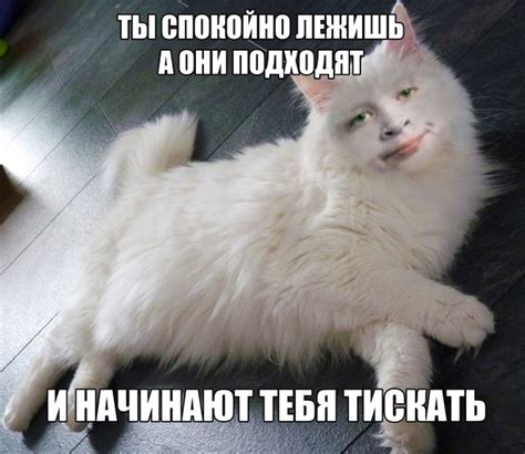 Мемы Мемосы мемасы мемосики мемесы Котофей мальчик в пижаме