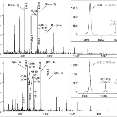 Esi Mass Spectrum Of Human Adult Hemoglobin Showing Alpha And Glycated Download Scientific