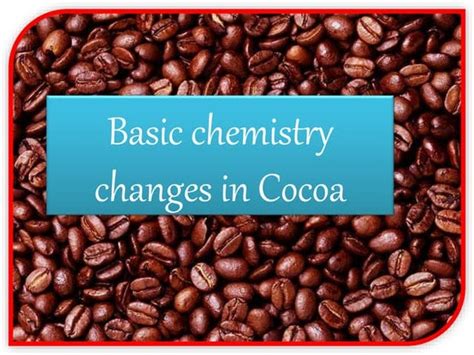 processing of cocoa ppt