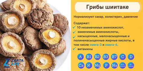 Витамины для диабетиков при диабете 2 типа на основе экстракта корня ...