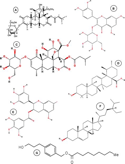 Major Phytoconstituents Of Parkia Timoriana A Javanicoside A B Download Scientific Diagram