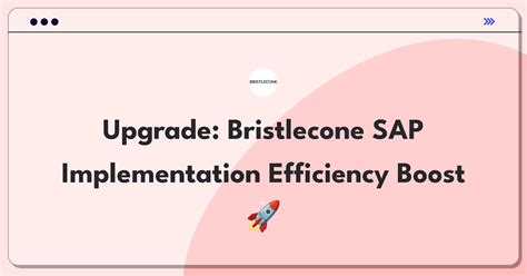 Bristlecone Sap Implementation Product Improvement Case Nextsprints