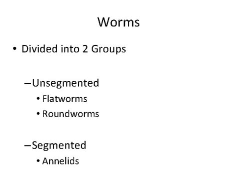 Unsegmented Worms Flatworms And Roundworms Biology 11 Worms