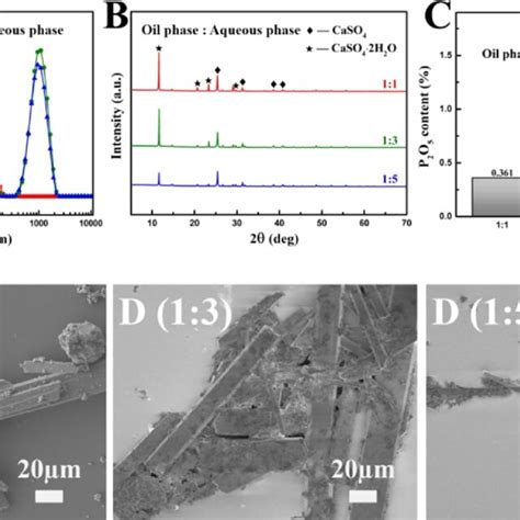 Phosphogypsum Crystallization Under Different Dilution Ratios A