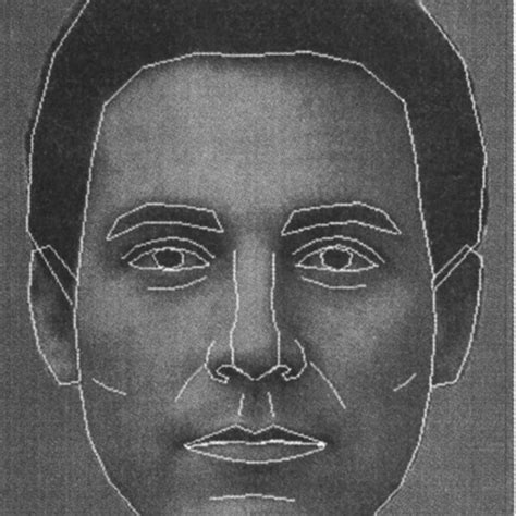 Pdf Classifying Faces By Race The Structure Of Face Categories