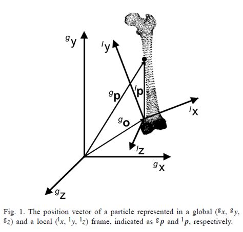 Human Movement Analysis Using Stereophotogrammetry By Ali Bulut Medium
