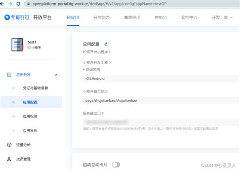专有钉钉：自己创建的小程序如何与自己管理的应用进行绑定专有钉钉绑上自己的小程序 Csdn博客