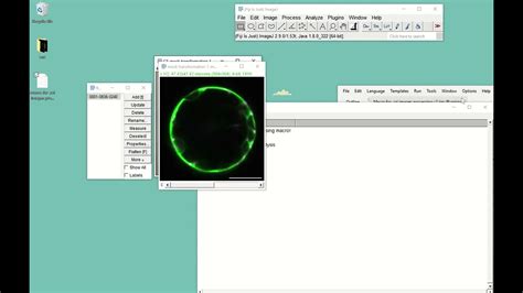 imagej macro for carl zeiss image czi file processing youtube