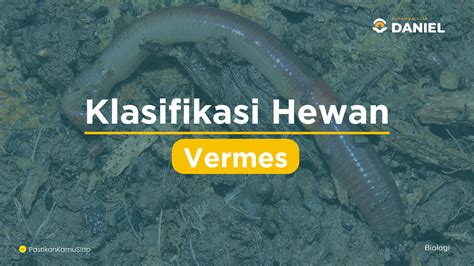 Vermes Si Cacing Yang Bikin Gemas Rbdigital