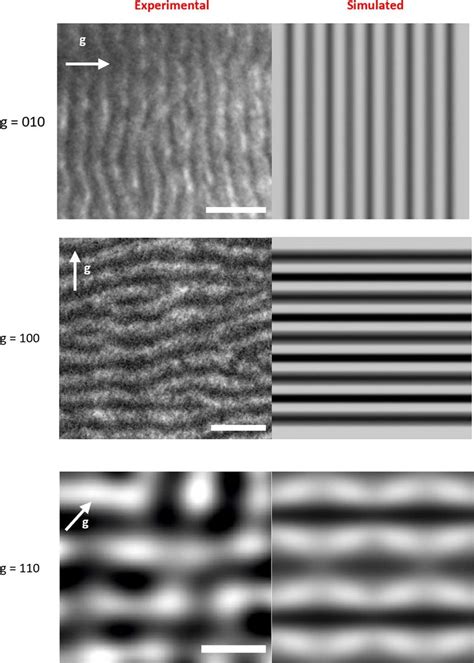 Diffraction Contrast Simulations Left Experimental Plan View Df Tem Diffraction Contrast Simulations Left Experimental Plan View Df Tem